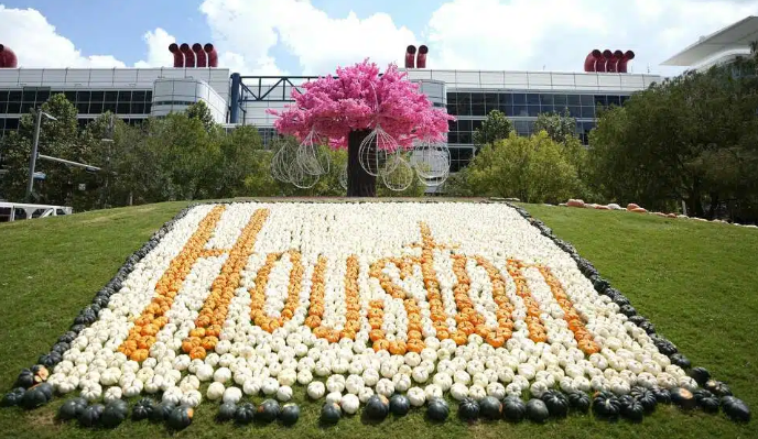Houston Pumpkin Festival | 1500 McKinney Street, Houston, TX, USA | Geoji