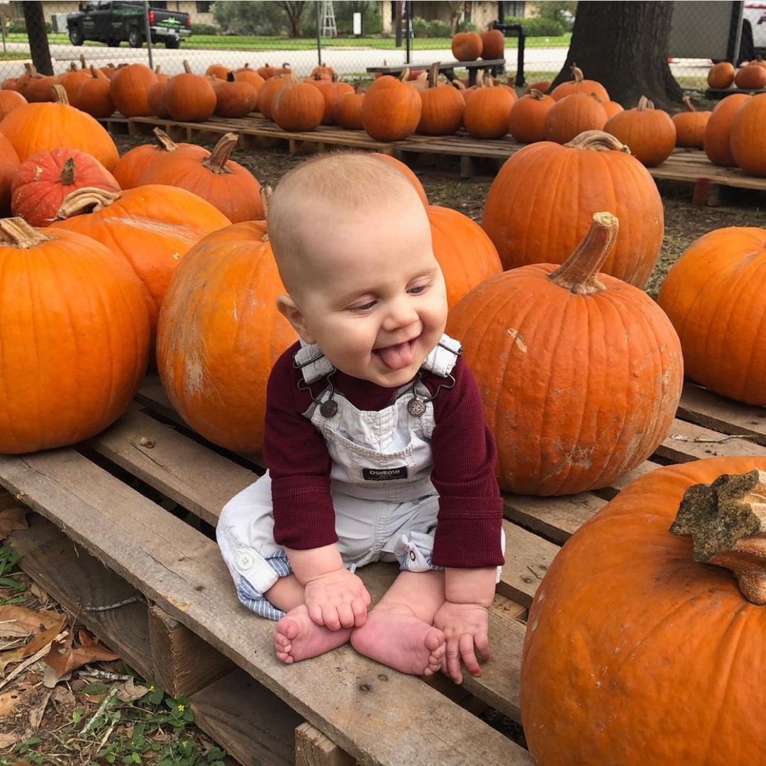 Indian Springs Ranch Pumpkin Patch | 403 Elm View Way, Manchaca, TX ...